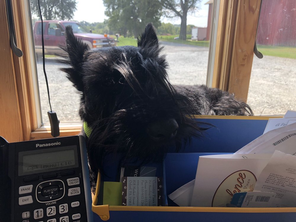 CRYSTAL POOLS OF RISING SUN - Updated September 2025 - 1643 Conowingo ...