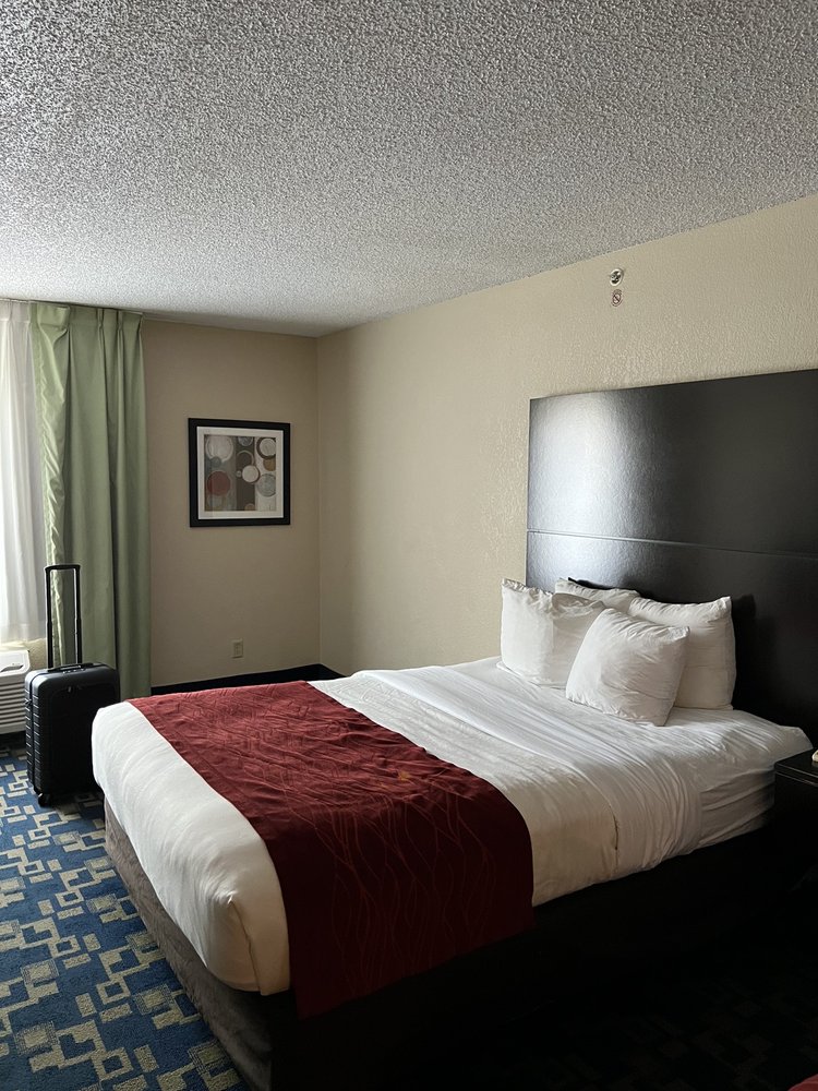 COMFORT INN & SUITES- UNIVERSAL ORLANDO RESORT-CONVENTION CTR - Updated ...