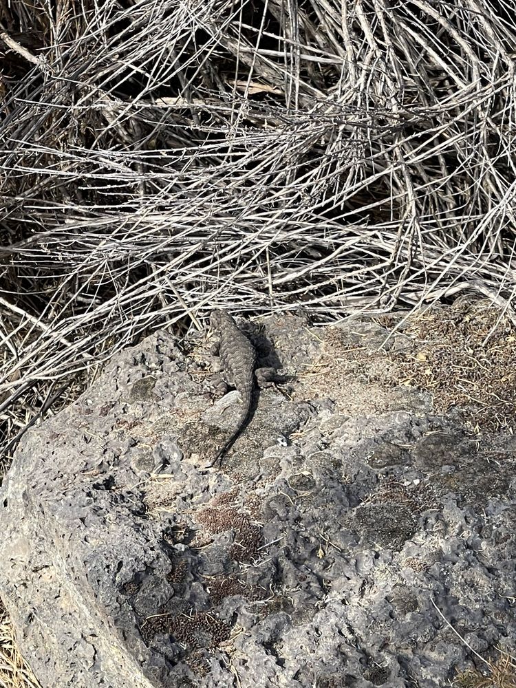 REDMOND CAVES - Updated January 2026 - 67 Photos & 20 Reviews - 3635 SW ...