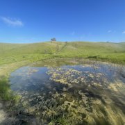 SHELL RIDGE OPEN SPACE - 305 Photos & 56 Reviews - 1035 Castle Rock Rd ...