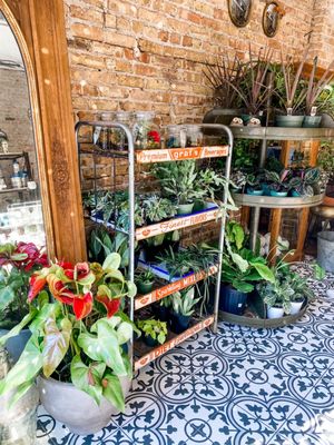 FLEUR - 90 Photos & 66 Reviews - 2651 N Milwaukee Ave, Chicago ...