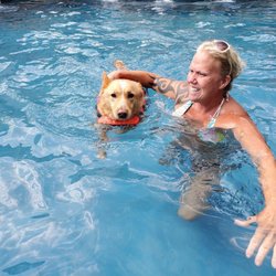 TOP 10 BEST Dog Swimming Pool near Catawba, SC 29704 - Updated 2025 - Yelp