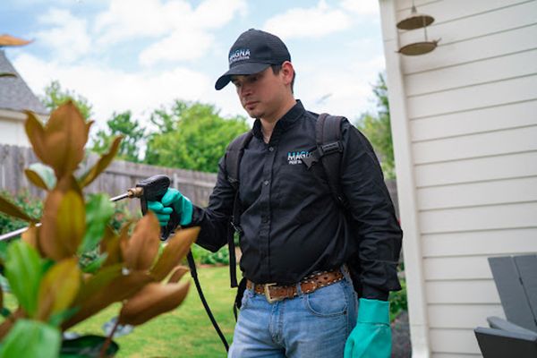 MAGNA PEST SOLUTIONS - Updated December 2025 - 25 Photos & 18 Reviews ...