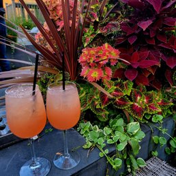 SOHO BUFFALO - Updated December 2025 - 280 Photos & 249 Reviews - 64 W ...