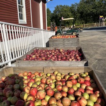 YATES CIDER MILL - Updated October 2024 - 682 Photos & 382 Reviews ...
