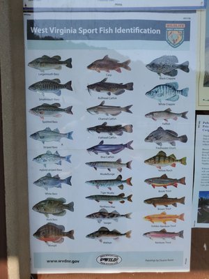 BLUESTONE DAM - Updated October 2025 - 15 Photos - 701 Miller Ave ...