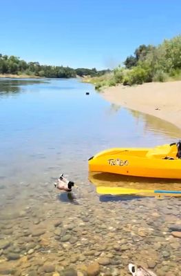 AMERICAN RIVER RAFT RENTALS - Updated December 2025 - 203 Photos & 367 ...
