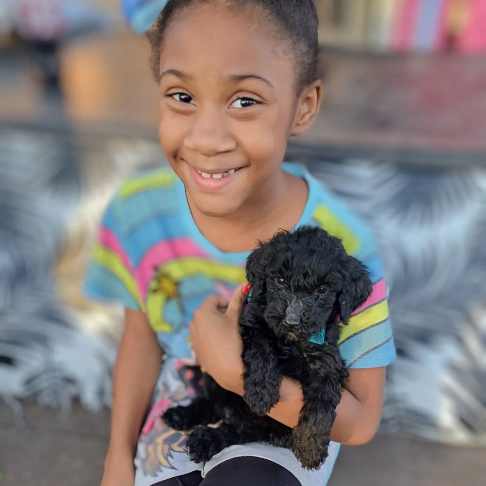 Alex Pippin's Instagram, Twitter & Facebook on IDCrawl