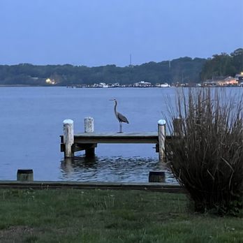 FLYING POINT MARINA - Updated December 2025 - 35 Photos - 324 Flying ...