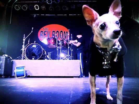 REV ROOM - Updated July 2025 - 30 Photos & 31 Reviews - 300 President ...