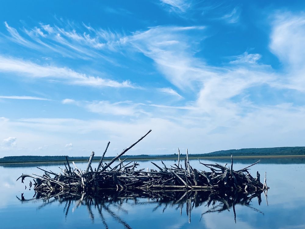 PARADISE LODGE RESORT - Updated August 2025 - 16991 Taylor Hawks Rd ...