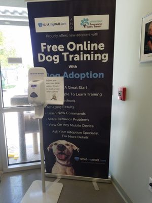 RIVERSIDE COUNTY DEPARTMENT OF ANIMAL SERVICES - 25 Photos & 39 Reviews ...