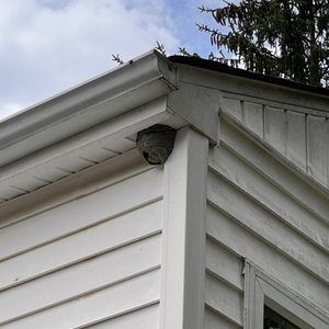 ARTERIX PEST CONTROL - 28 Photos & 138 Reviews - Rockville, Maryland ...