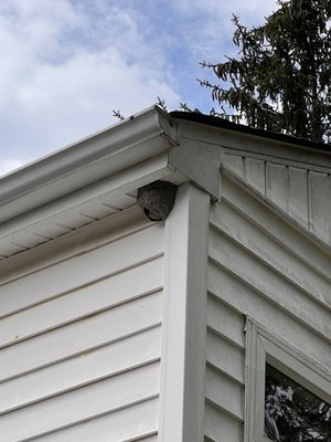 ARTERIX PEST CONTROL - Updated December 2025 - 36 Photos & 223 Reviews ...