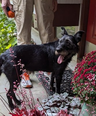 BUDDY DOG HUMANE SOCIETY - Updated July 2025 - 19 Photos & 62 Reviews - 151 Boston Post Rd ...