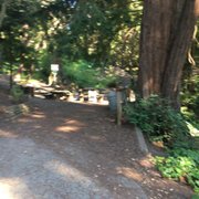 CODORNICES PARK - 157 Photos & 152 Reviews - 1201 Euclid Ave, Berkeley ...
