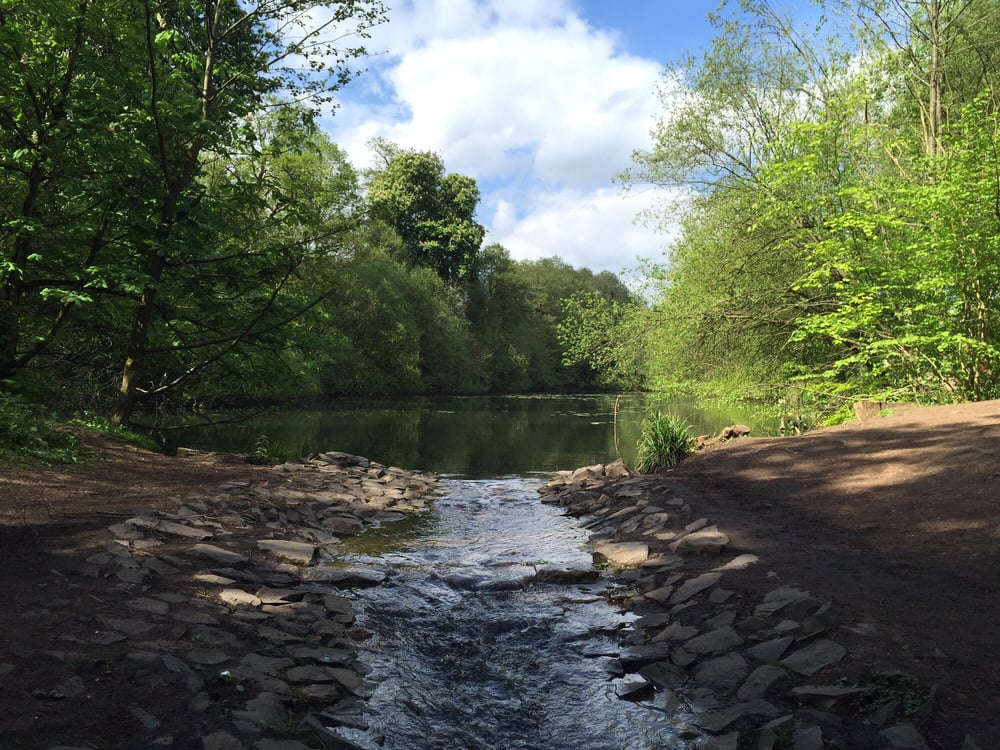 HIMLEY PARK - Updated November 2024 - 12 Photos - Himley Road, Dudley ...