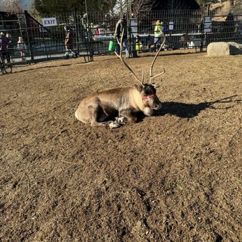 LEAVENWORTH REINDEER FARM - Updated July 2025 - 536 Photos & 163 ...