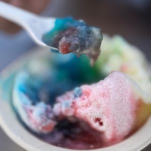 KERMIT’S KEY LIME SHOP - Updated August 2025 - 14 Photos - 123 Duval St ...