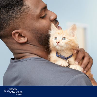 VETCO TOTAL CARE ANIMAL HOSPITAL - Updated December 2025 - 20 Photos ...