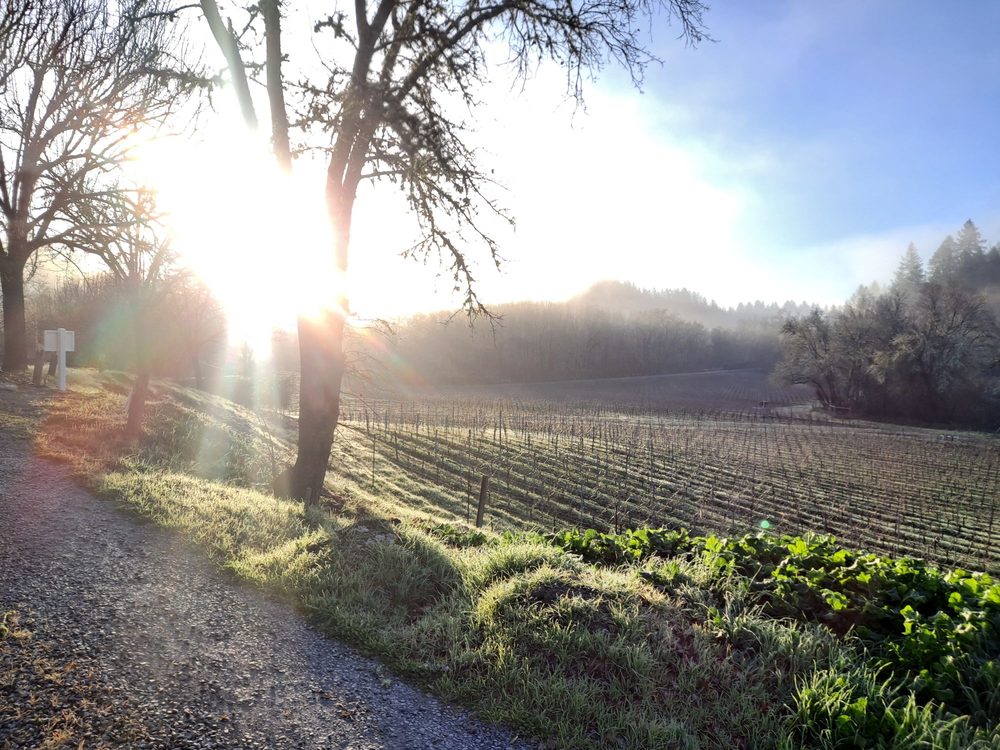 FUSION TECHNOLOGY SOLUTIONS - Updated September 2025 - 117A W North St ...