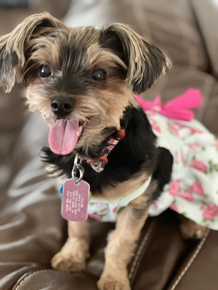 ACTION PACK - ROUND ROCK - Updated October 2025 - 55 Photos & 127 ...