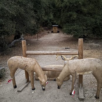 PASADENA ROVING ARCHERS - Updated September 2025 - 184 Photos & 152 ...