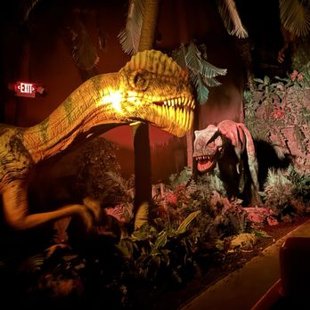 JURASSIC JUNGLE BOAT RIDE - Updated July 2025 - 73 Photos & 226 Reviews ...