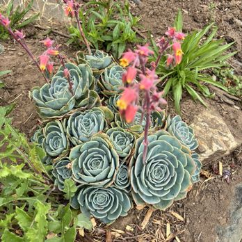 CRYSTAL BAY FARM - Updated December 2025 - 163 Photos & 78 Reviews - 40 ...