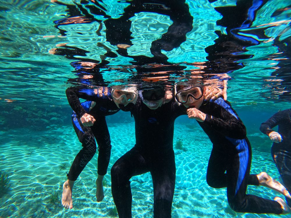 WATERFRONT ADVENTURES - Updated January 2026 - 13 Photos - 614 NW US-19 ...