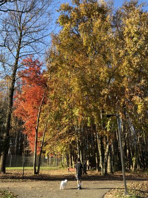 NOTTOWAY PARK-HUNTER HOUSE - Updated October 2025 - 19 Photos & 16 ...