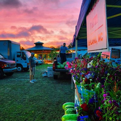 MCADAMS FARM - 37 Photos - 1100 N Efland Cedar Grove Rd, Efland, North ...