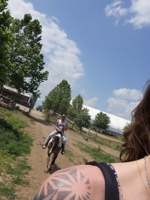 WILD ROSE EQUINE CENTER | 47 Photos & 19 Reviews - 17105 Old Pike Rd ...