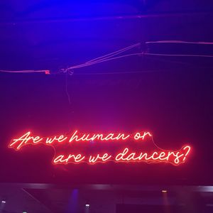 ROAR - Updated December 2025 - 25 Photos & 31 Reviews - 939 N Delaware ...