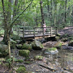 THE LEDGES - Updated July 2025 - Ward's Beach Access Rd, Wilmington ...