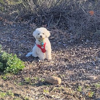 DRIPPING SPRINGS CAMPGROUND - Updated October 2025 - 82 Photos & 55 ...