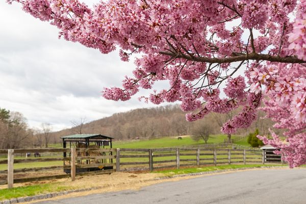 MOSEFUND FARM - Updated December 2025 - 15 Photos - 315 Mattison ...