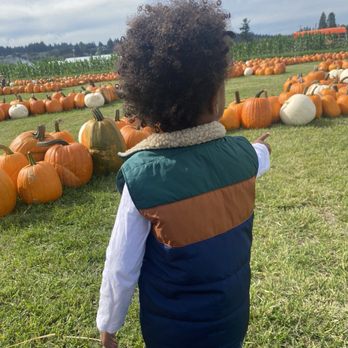 PICHA FARMS - Updated October 2025 - 68 Photos & 38 Reviews - 6502 52nd ...