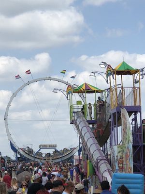 RABBIT FEST - Updated May 2026 - 22 Photos - 204 E Robertson Ave ...