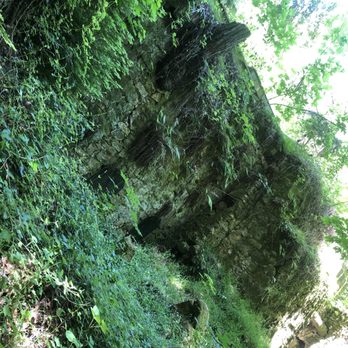 POGONIP - Updated January 2026 - 234 Photos & 42 Reviews - 333 Golf ...