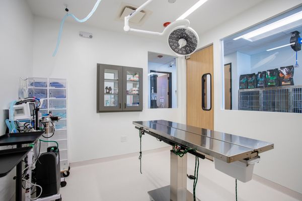 HESS RIDGE ANIMAL HOSPITAL - Updated December 2025 - 21 Photos - 12225 ...