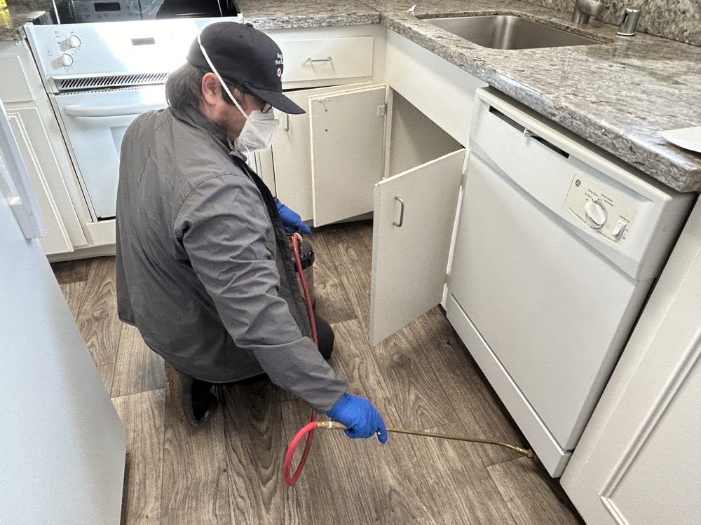 BUG BARRIER PEST CONTROL - Updated August 2024 - 22 Photos & 22 Reviews ...