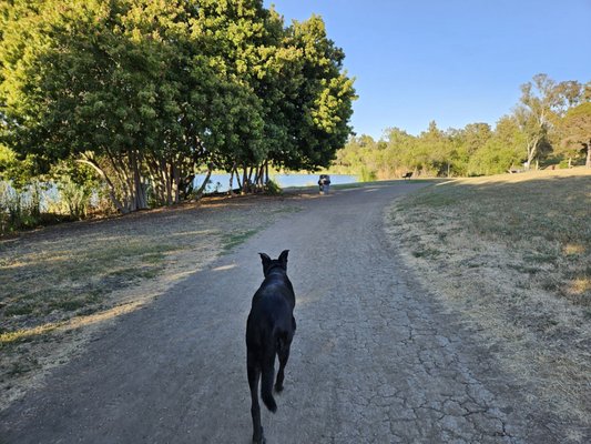 GUAJOME REGIONAL PARK - Updated January 2026 - 370 Photos & 149 Reviews ...