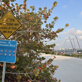 ABU SEBA BEACH - Updated October 2025 - 18 Photos - 1137 Gulf Blvd ...