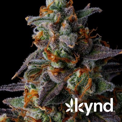 AYR WELLNESS MEDICAL MARIJUANA DISPENSARY SELINSGROVE - Updated July ...