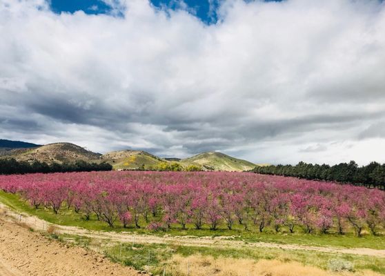 LAKE HUGHES RECOVERY - Updated April 2026 - 36 Photos & 14 Reviews ...