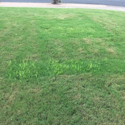 KING RANCH TURFGRASS - 26 Photos & 57 Reviews - Austin, Texas ...