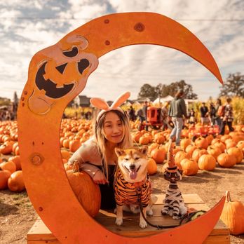 YESTERYEAR FARMS - Updated October 2025 - 200 Photos & 114 Reviews ...