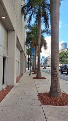 MIAMI DADE COLLEGE - WOLFSON CAMPUS - Updated December 2025 - 79 Photos ...