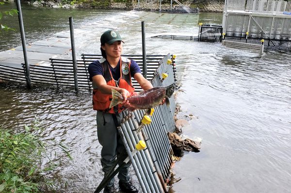 CEDAR RIVER TRAIL - Updated October 2024 - 1717 Maple Valley Hwy ...